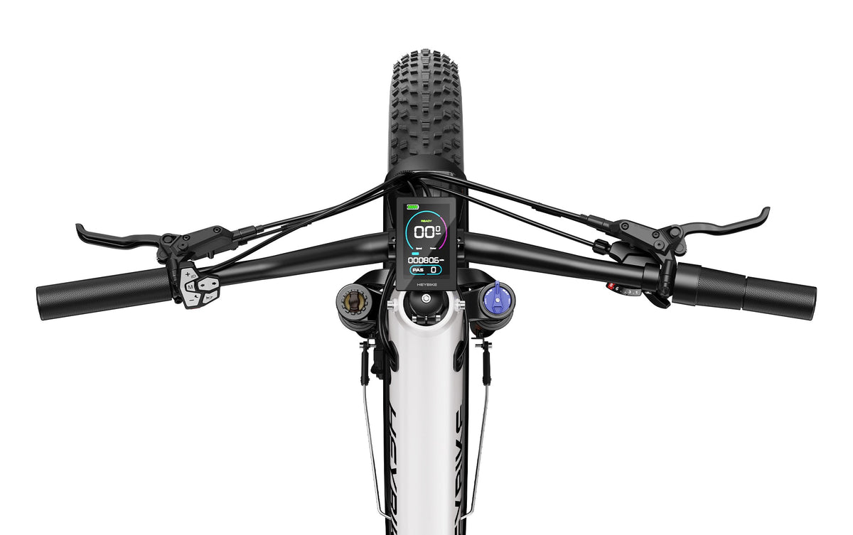 Heybike Alpha Mid-Drive Electric Bike | High Torque E-Bike Canada | Ecogo